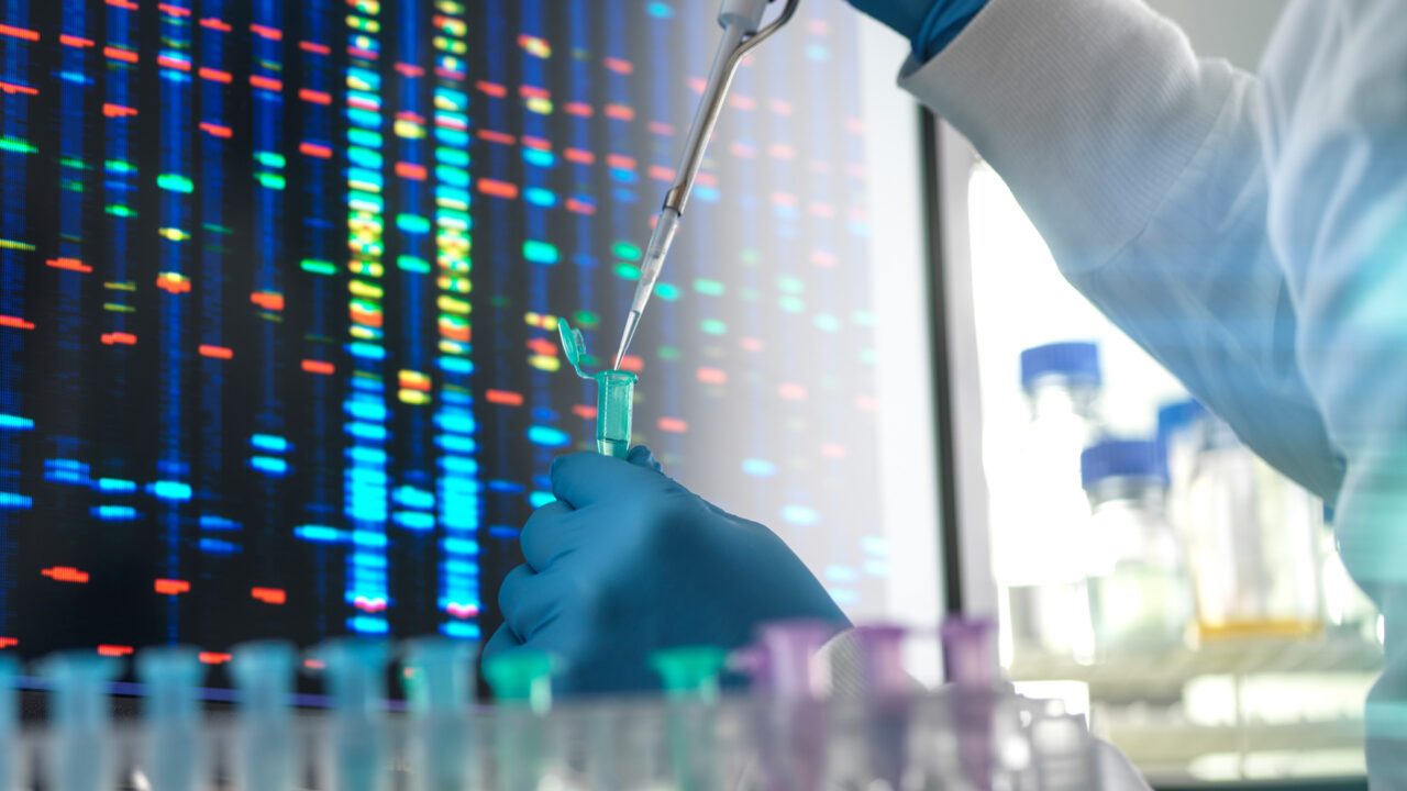 Working Groups - GP2